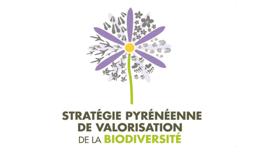 Ours : lettre ouverte au co-président du Comité de massif | France ...
