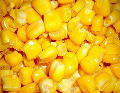 Chrysomèle du maïs : la FRAPNA s’oppose aux épandages de deltaméthrine ...