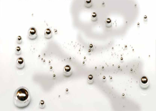 Pollution au mercure : FNE tire le signal d’alarme | France Nature ...