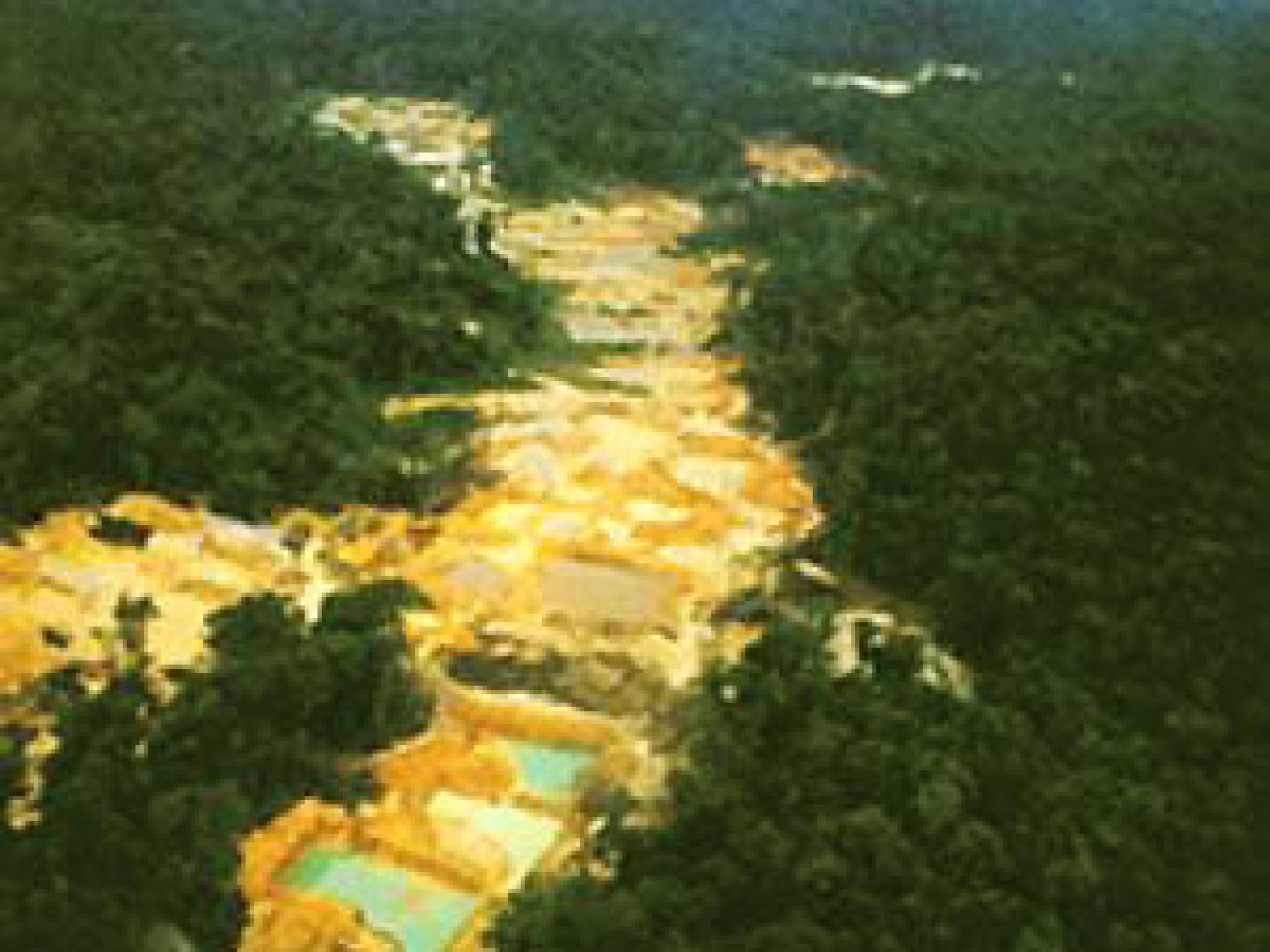 Le Parc national de Guyane menacé, après ceux des Ecrins et des ...