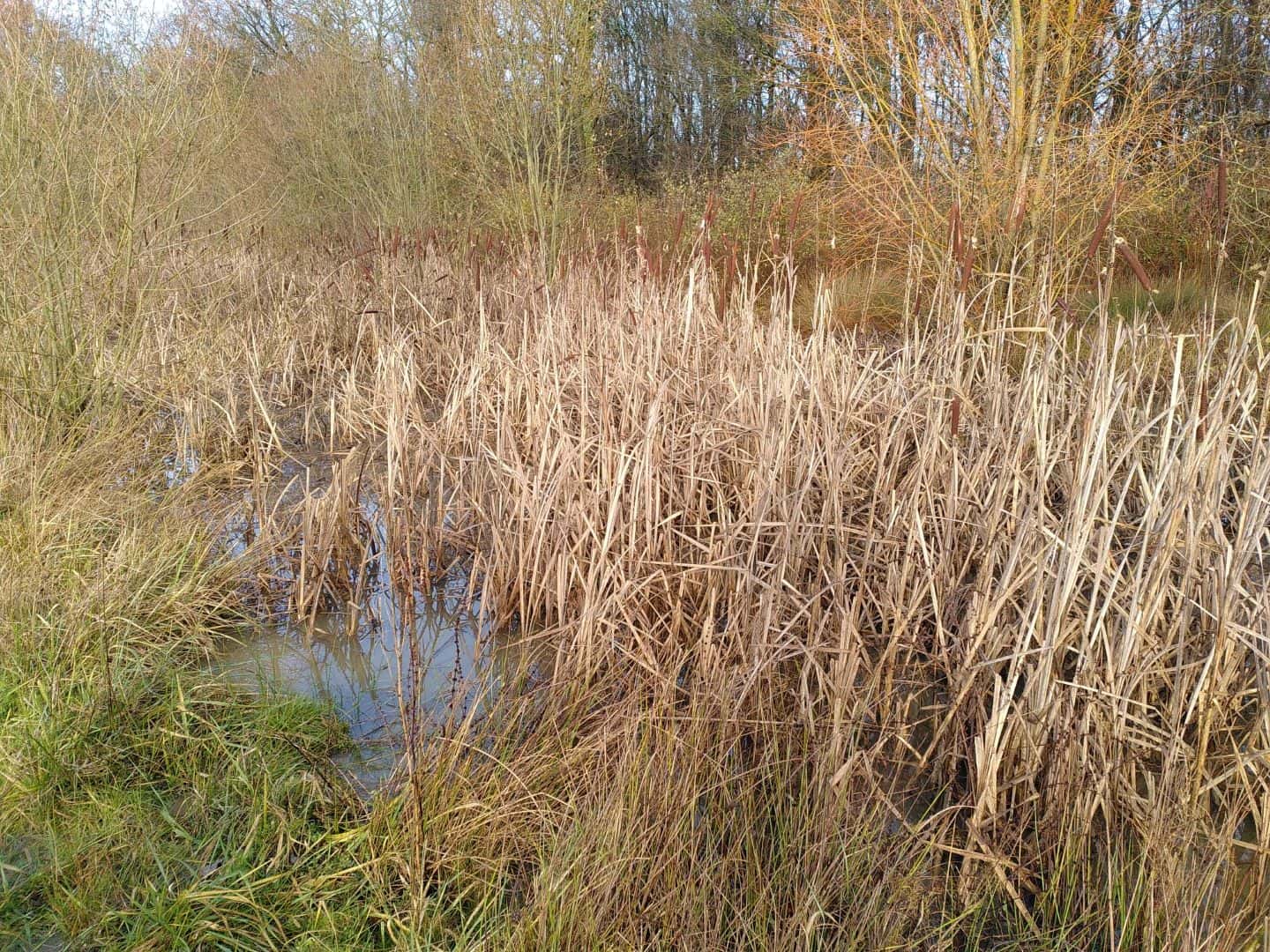 Consultation publique : donnez votre avis pour protéger les petites ...